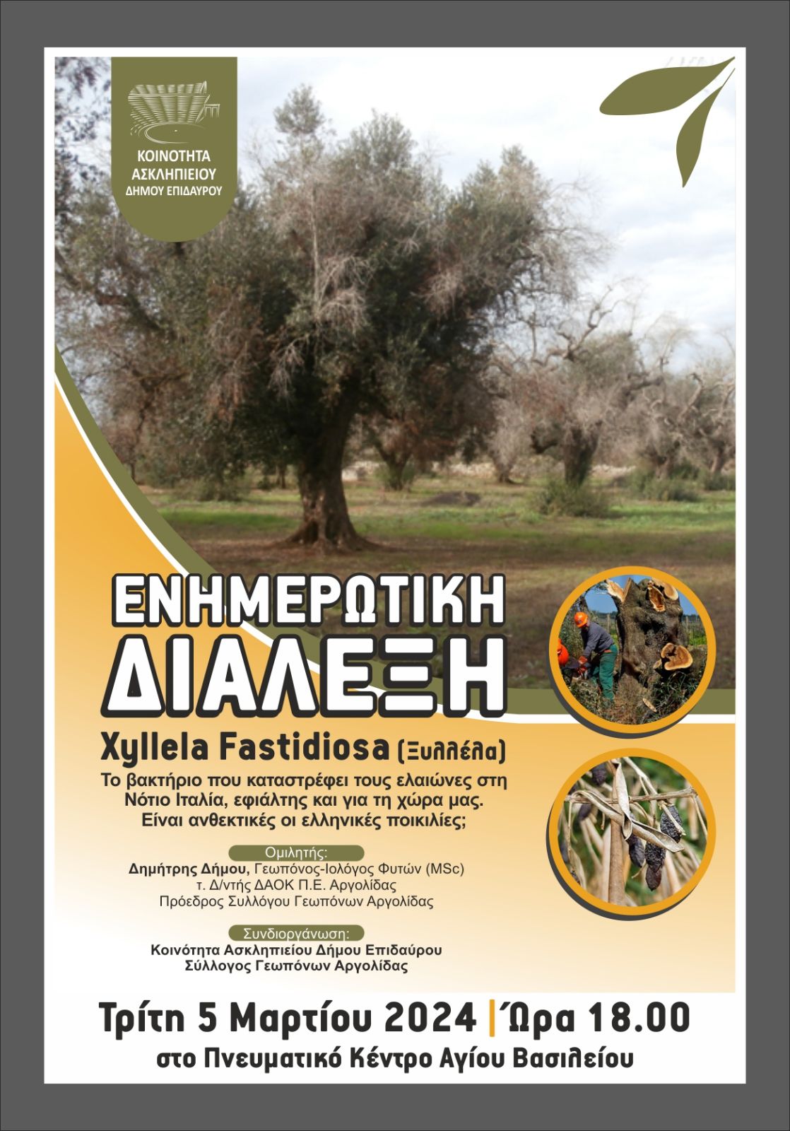 Ενημερωτική διάλεξη για το βακτήριο της Ξηλλέλας στην ελια. | EpidavrosNews